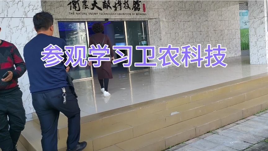 现代农业管理,生物防治病虫,一套完善管理方法