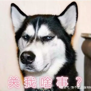 非彤一般2019 