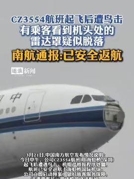 南航一飞往深圳航班,遭遇鸟击