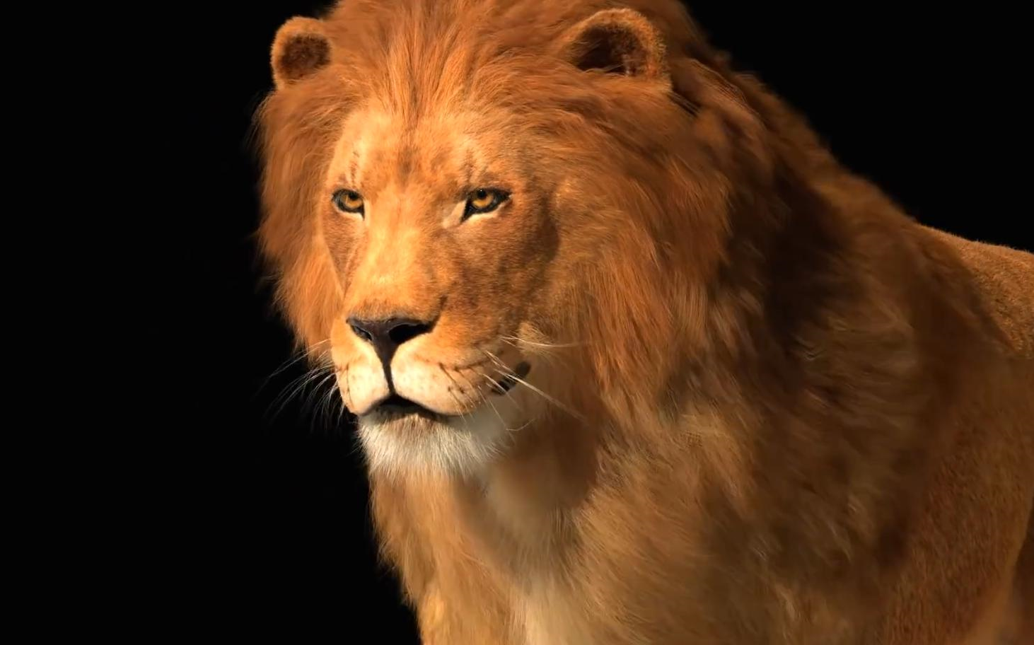 逼真的狮子王CG动画 震撼