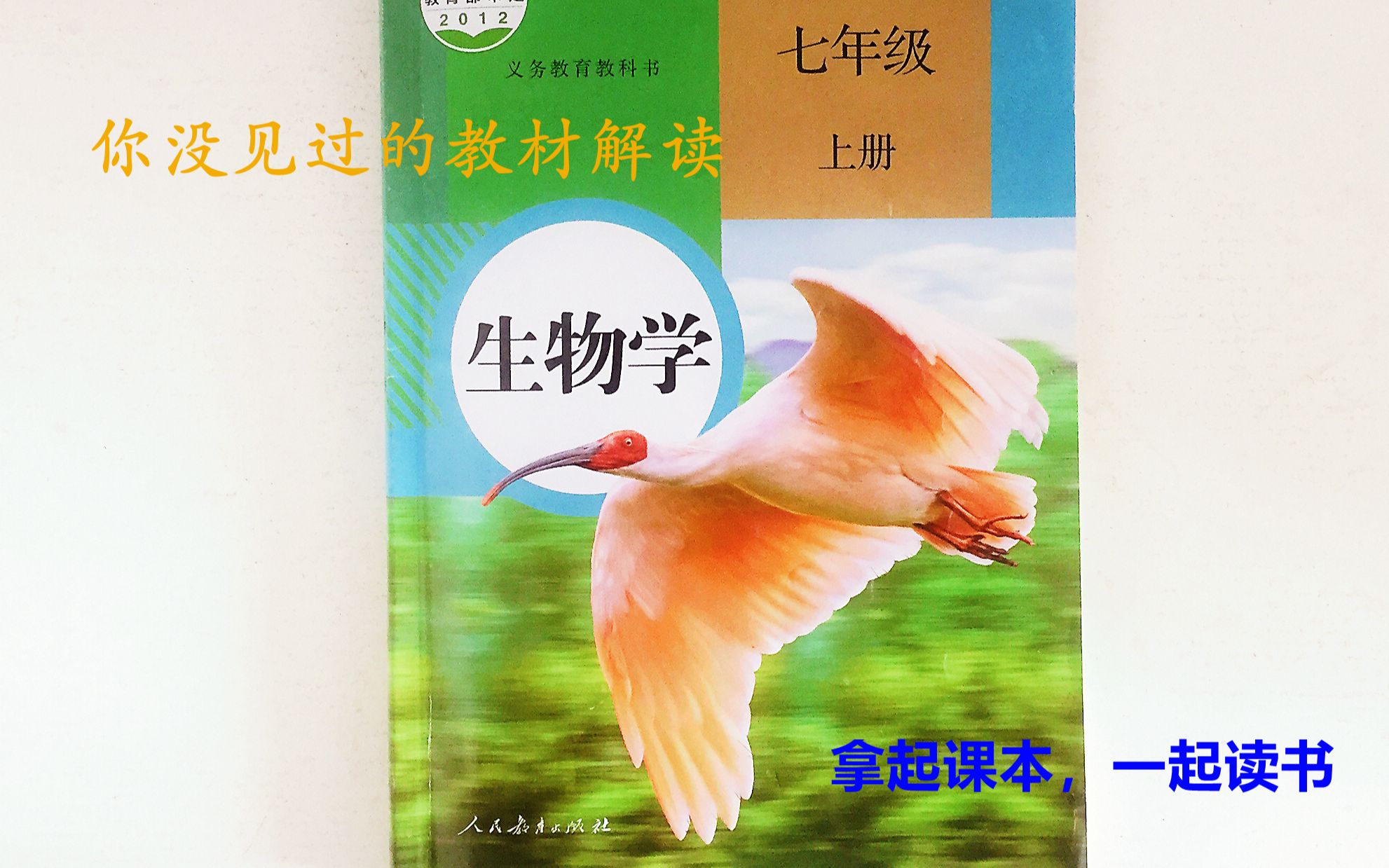 初中生物-七年级(上)3.2.2 植株的生长