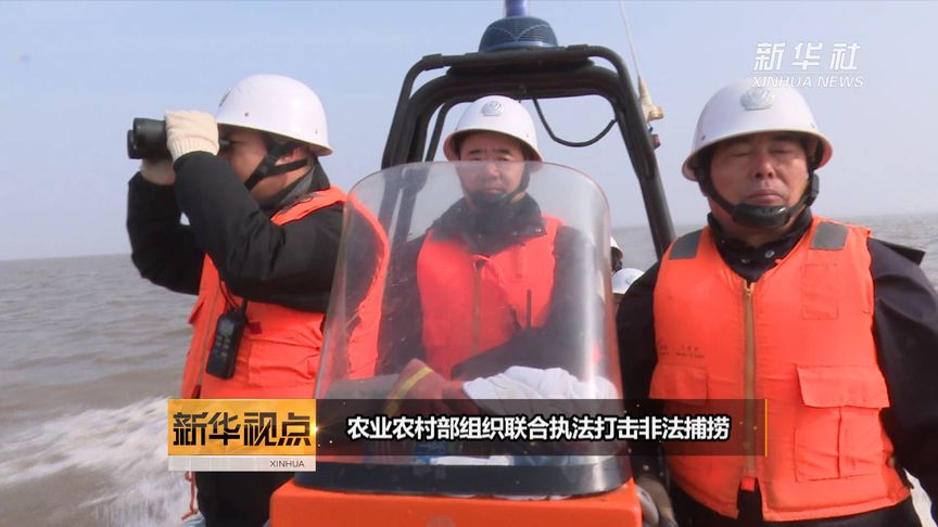 农业农村部组织联合执法打击非法捕捞