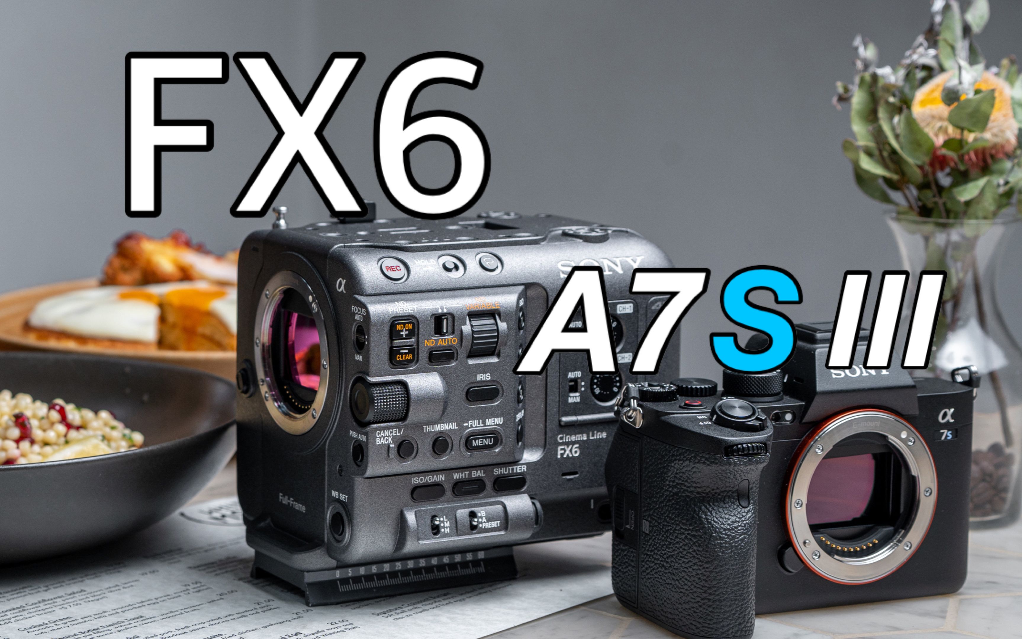 A7S3最佳伴侣:索尼FX6摄录一体机使用体验
