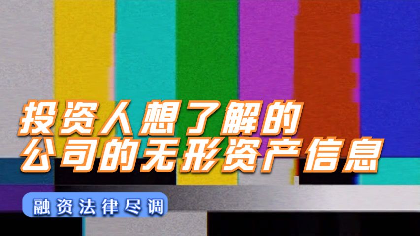 投资人想了解的公司的无形资产信息