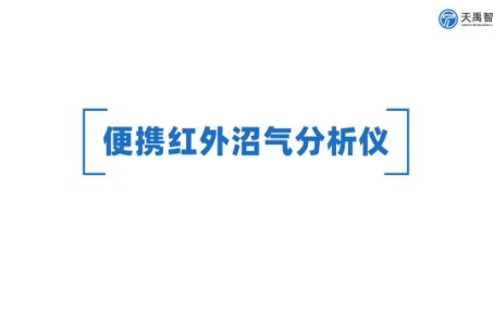 天禹智控-便携沼气分析仪