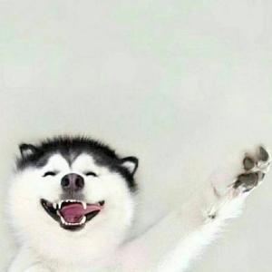 永久云手机 