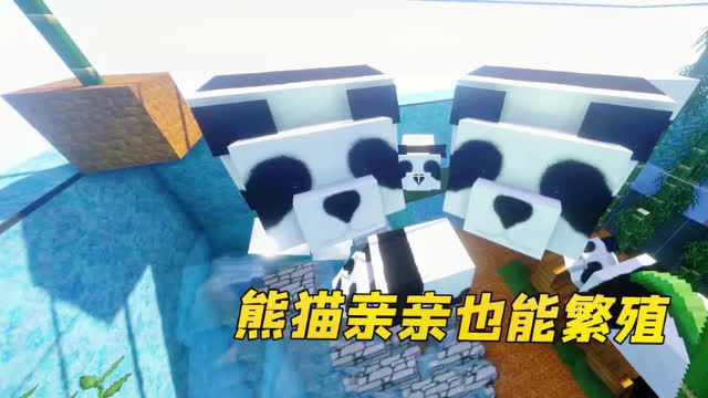 我的世界:亲自喂养大熊猫,亲亲就会生出小熊猫,超级可爱!