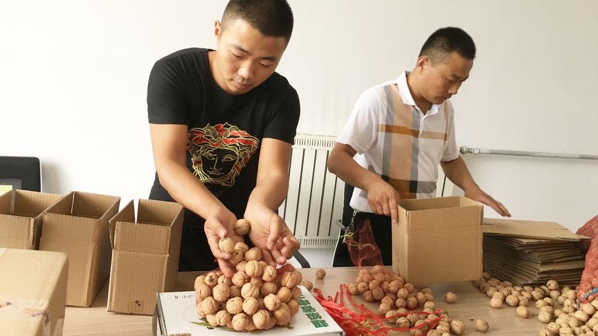 农村电商遇冷,这种新兴商业模式在农村行不通?问题在哪?