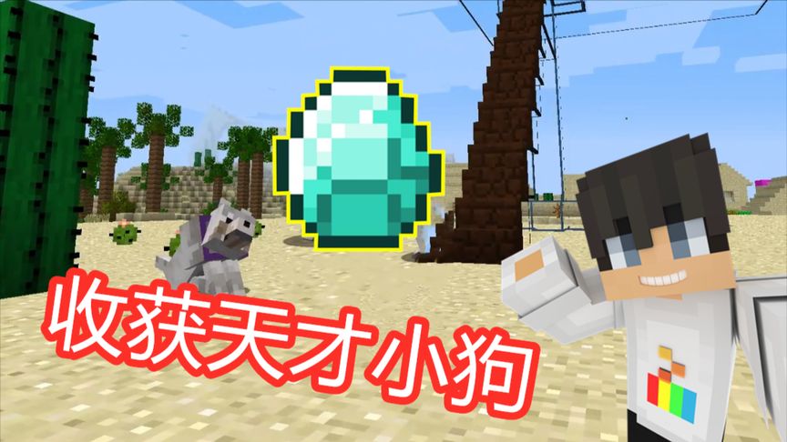 【MC大白】我的世界随机合成生存,煤炭变钻石收获天才宠物狗!