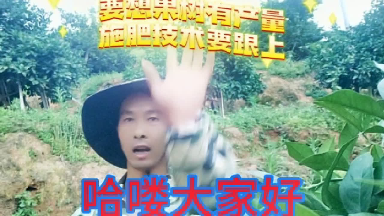 你是怎么施肥的#中视频伙伴计划 #三农#果树管理#知识分享
