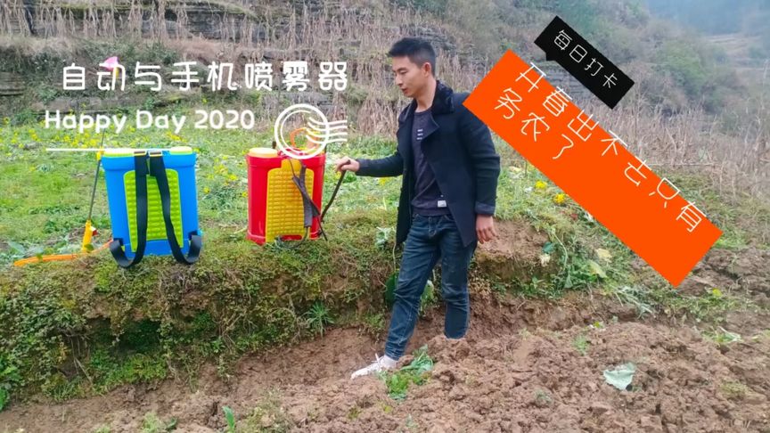小伙帮父母务农对比自动和手动喷雾器的差距和效率。大家怎么看?