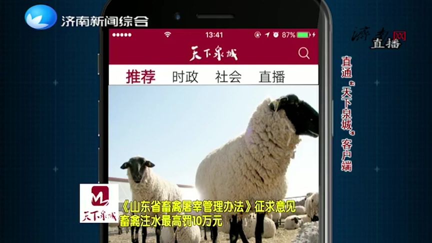 最高罚10万!《山东省畜禽屠宰管理办法》公开征求意见