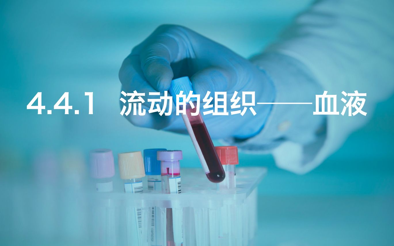 【初中生物】4.4.1 流动的组织——血液