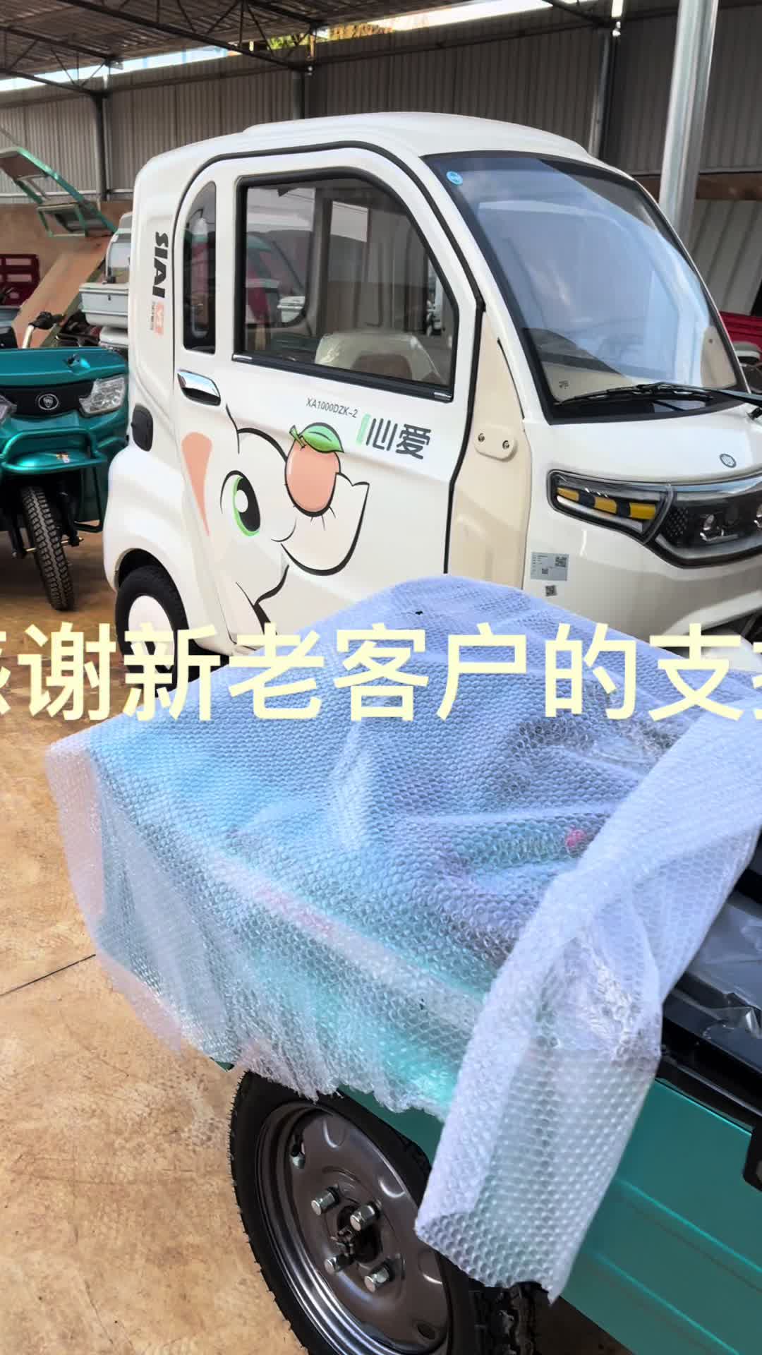 #强烈推荐 #电动三轮车 #安全骑行 #总有一款适合你