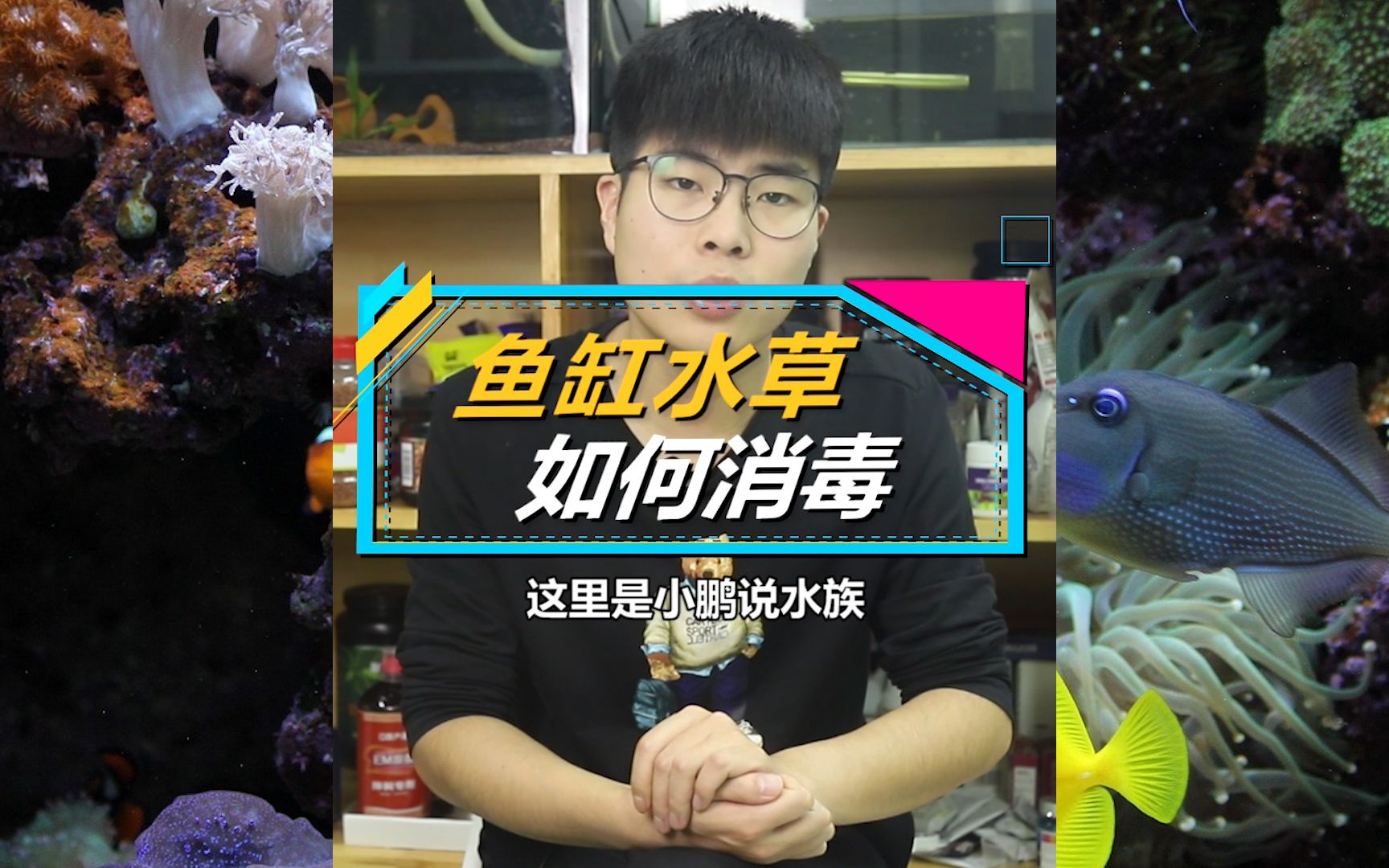 鱼缸水草如何消毒?有这4种方法,你更喜欢哪一种呢?