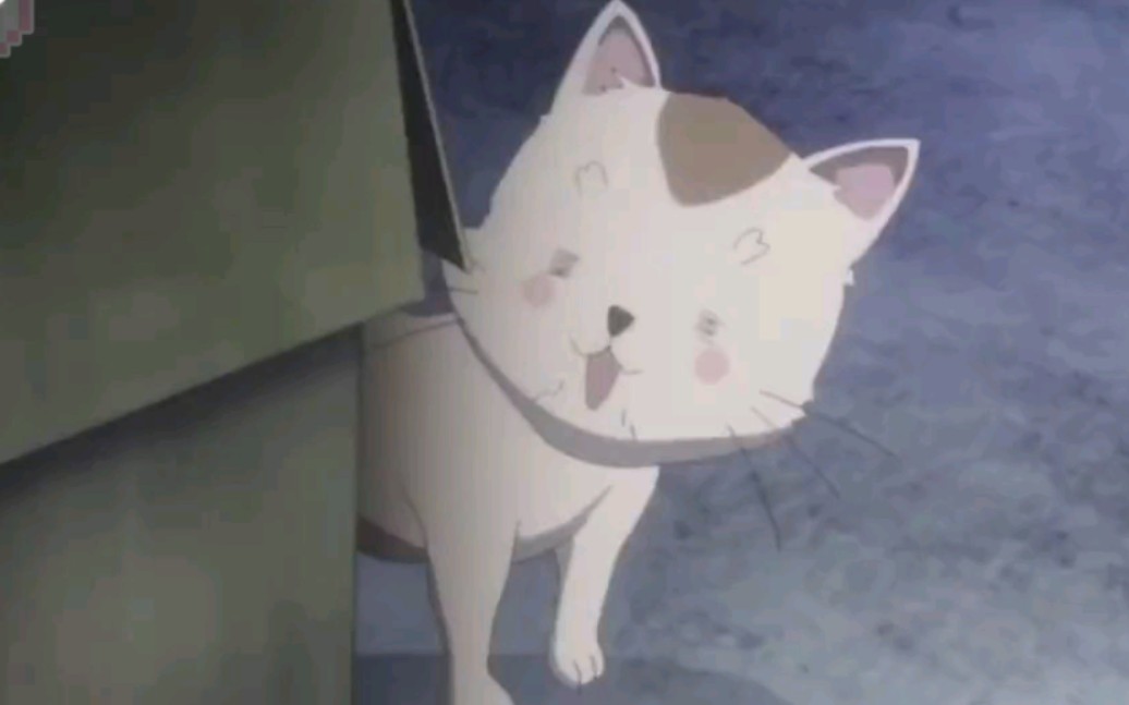 【动漫推荐三】魔法少女网站