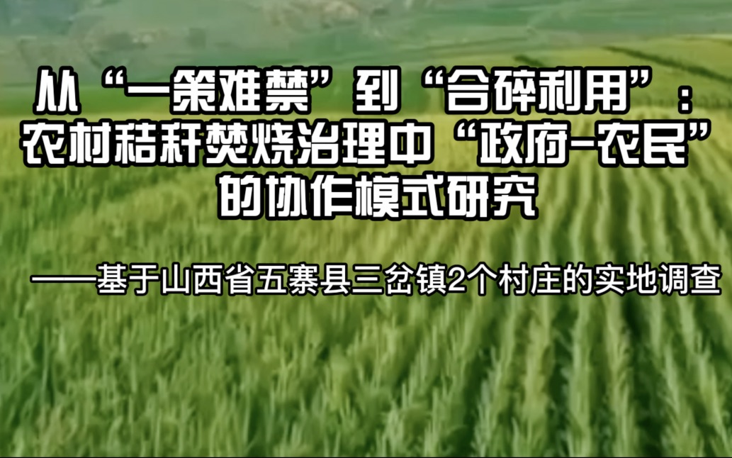 #上B站,调研中国#粮食你吃了,秸秆哪去了?农村秸秆焚烧治理中 “政府...