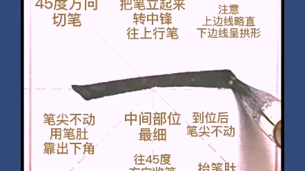 零基础学书法:楷书长横的写法