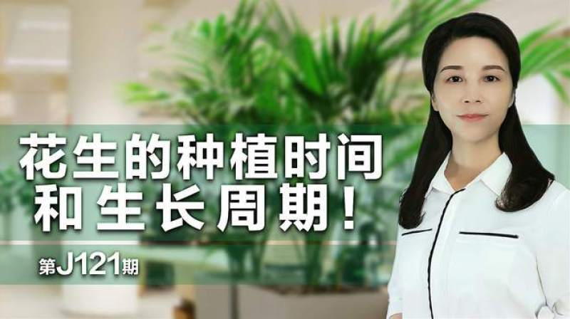 花生种植时间和生长期!