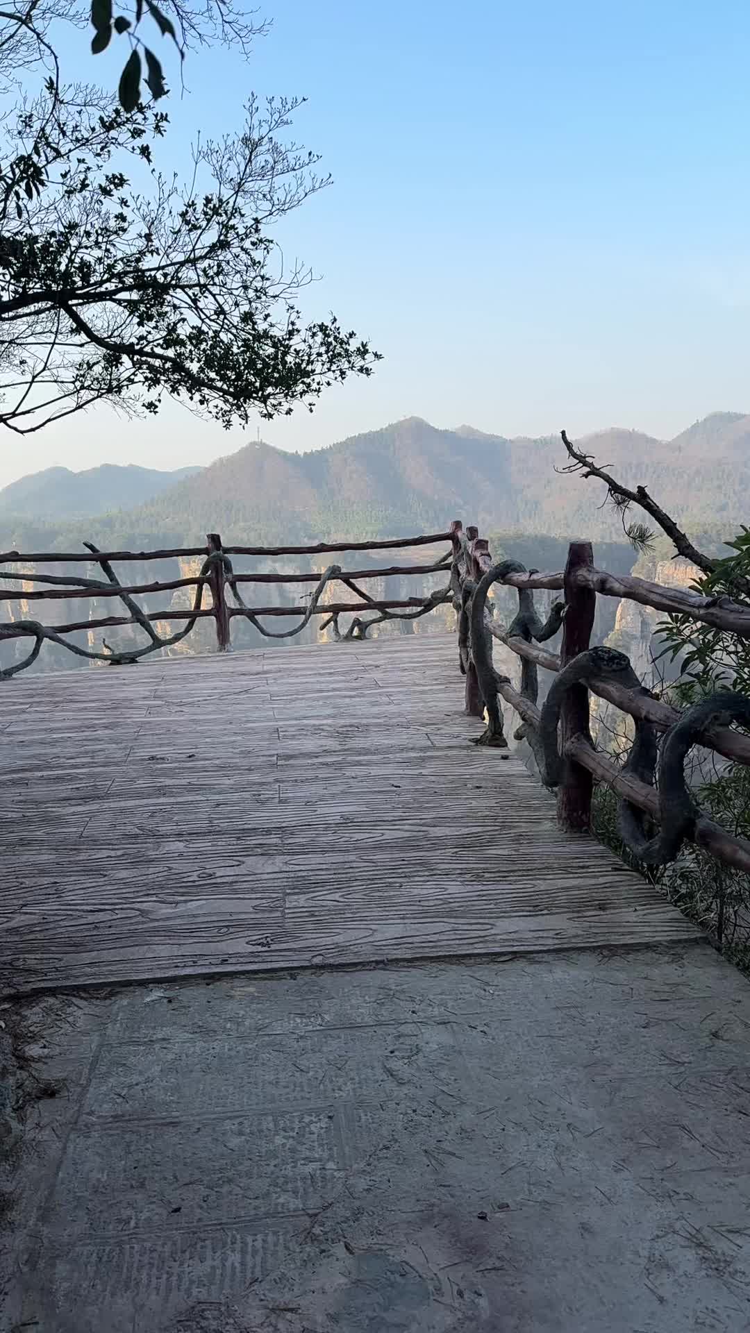 张家界的小众秘境景点,99%的人没到过,猜猜是哪里?#张家界旅游攻略