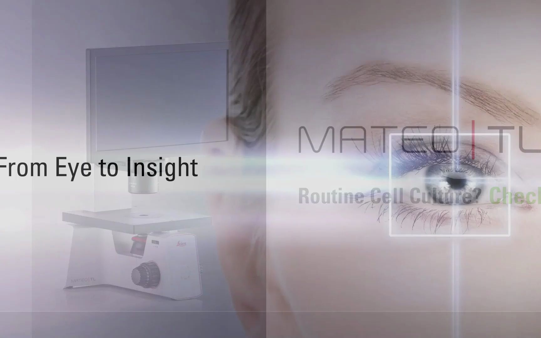 【操作指导】如何使用Mateo TL显微镜重复图像采集条件?