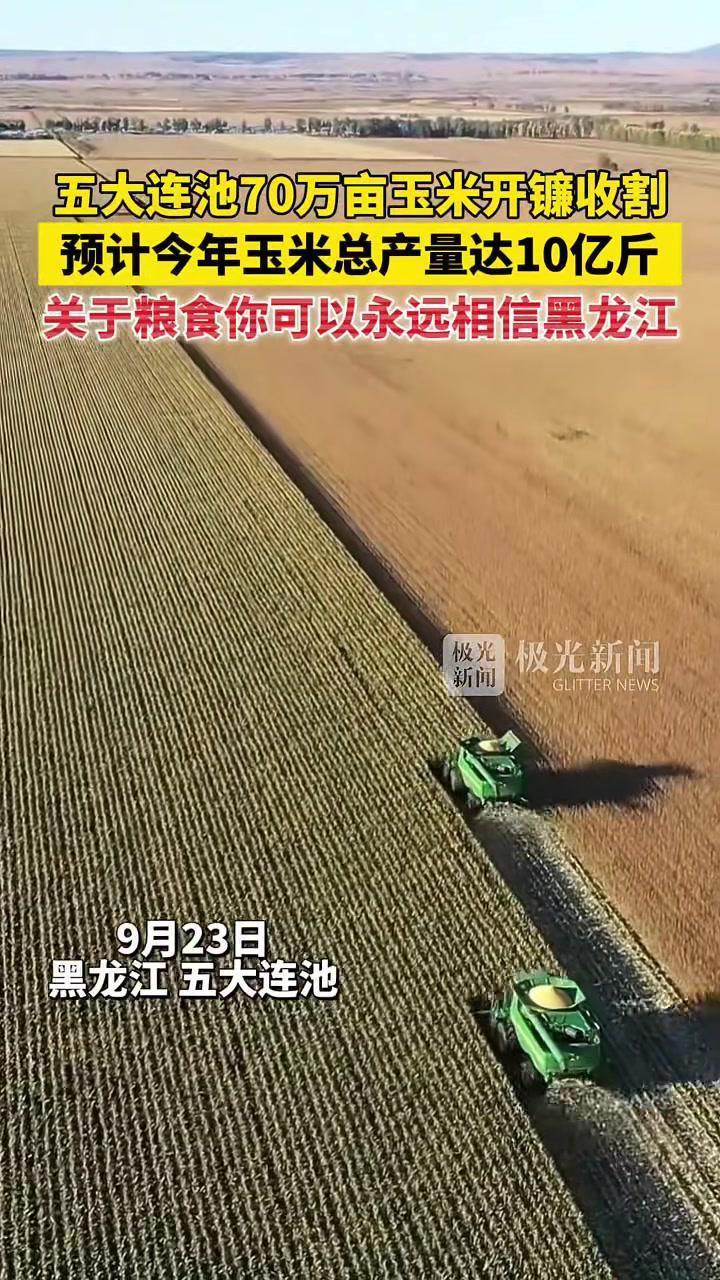 五大连池70万亩玉米开镰收割!预计今年玉米总产量达10亿斤!关于粮食...