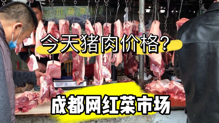 成都猪肉价格太吓人,到底卖多少钱一斤?真实镜头记录,大吃一惊