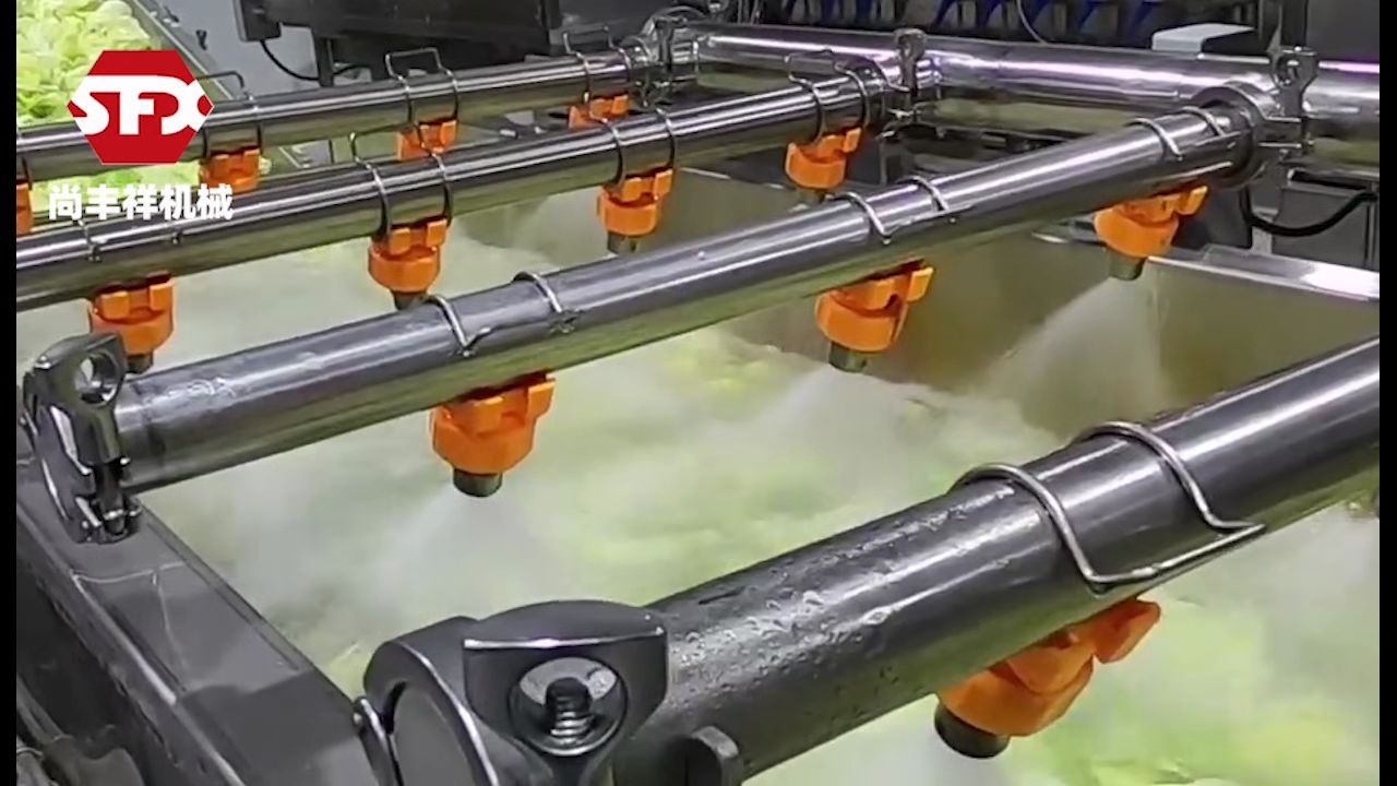 净菜生产流程 沙拉生产线 中央厨房前处理生产线