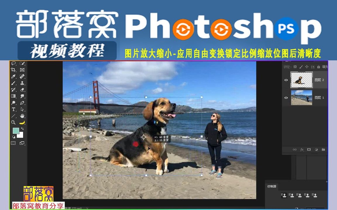 ps图片放大缩小视频:应用自由变换锁定比例缩放位图后清晰度