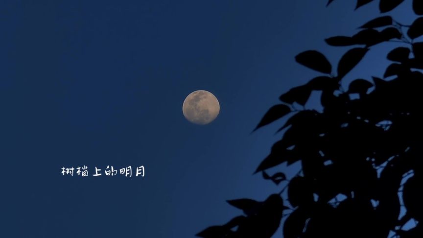 用手机记录月亮的不同变化。#一起看月亮 #随手拍天空