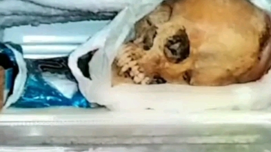 绝地求生生化模式