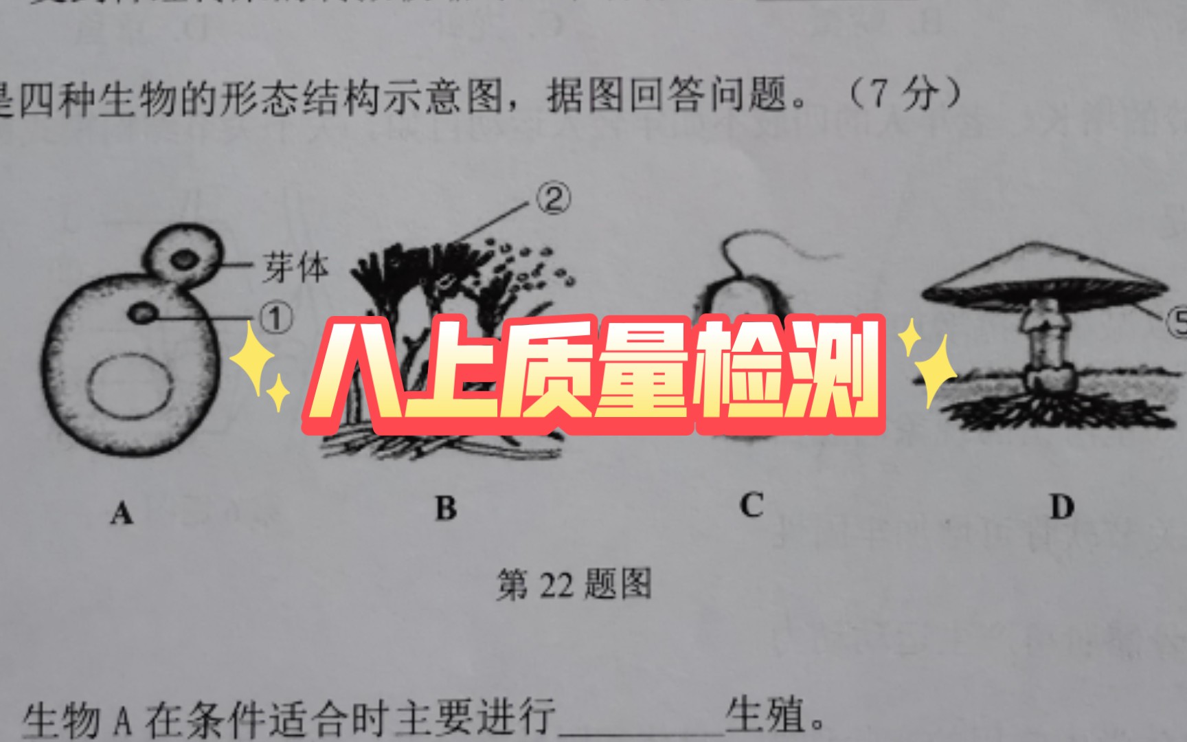 真题//2020八年级上学期期末质量检测试题//后附答案(人教版初中生物...