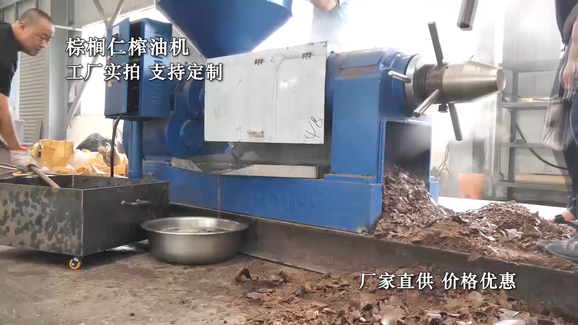棕榈仁榨油机现场试机,性能杠杠的!