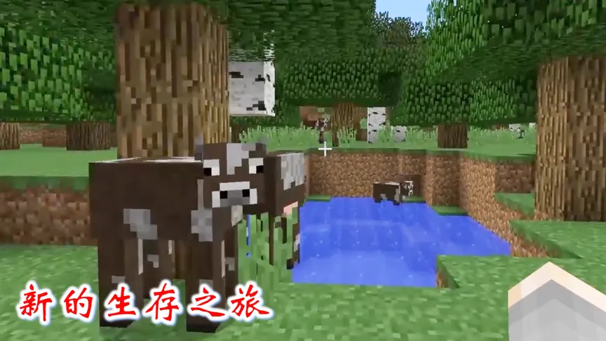 我的世界等价交换1:迪哥徒手撸树,开始无尽贪婪的生存之旅