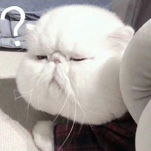 达达尼尼尼尼昂 