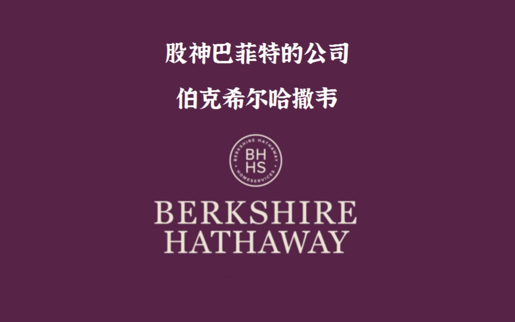股神巴菲特的公司-伯克希尔哈撒韦