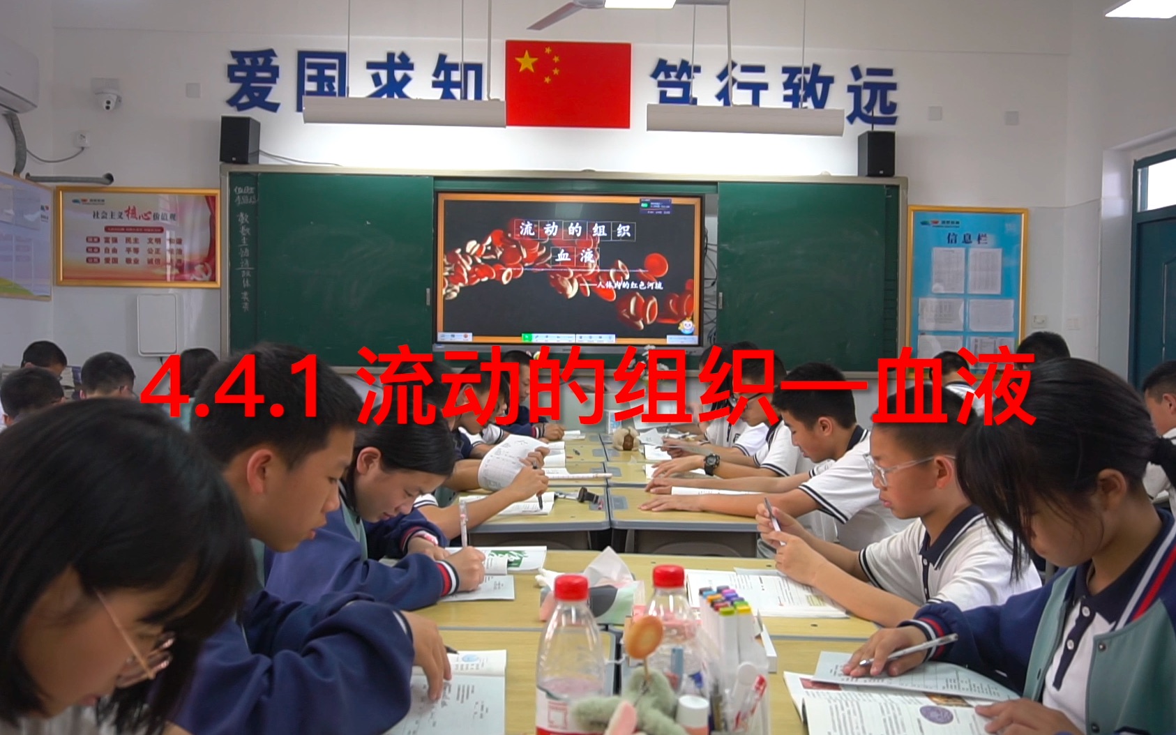 流动的组织-血液-七年级下册人教版生物课堂实录