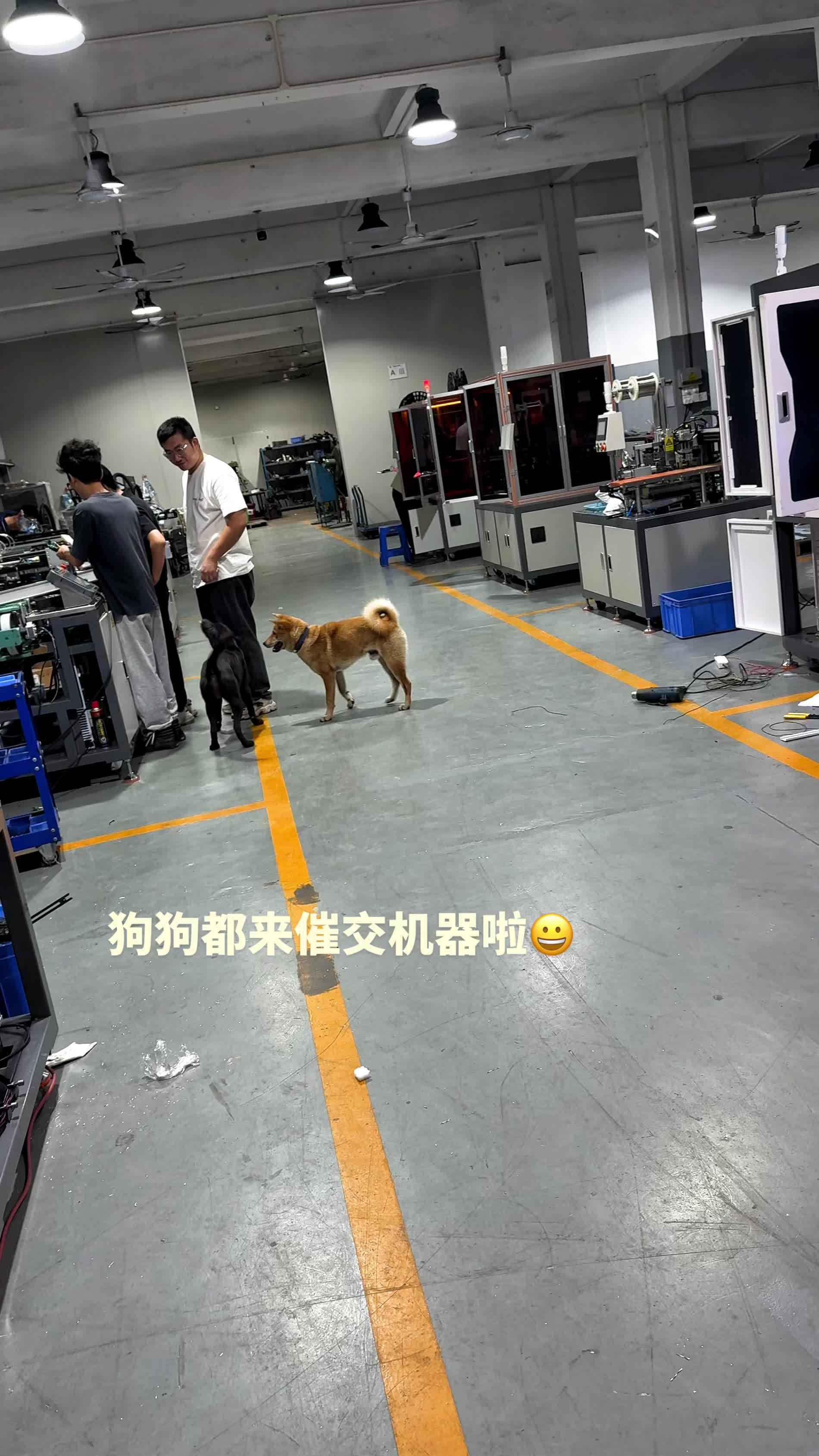 #非标自动化 #自动化设备 #自动化设备生产厂家 #工厂实拍视频 #制造业