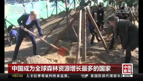 [中国新闻]中国成为全球森林资源增长最多的国家