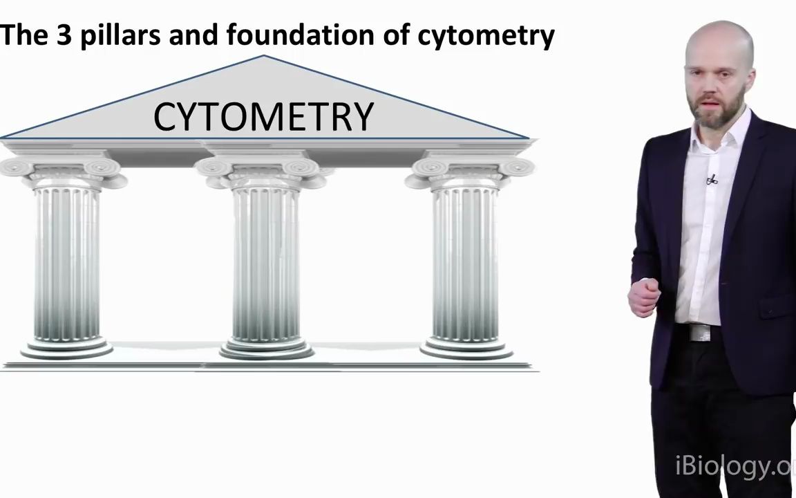 流式细胞仪成像