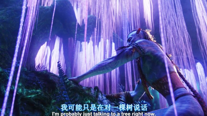 阿凡达:杰克对这一棵树讲话,他为什么觉得这棵树听得懂英语