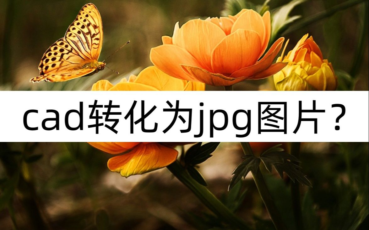 怎么把cad转换为jpg图片?教你这样转换