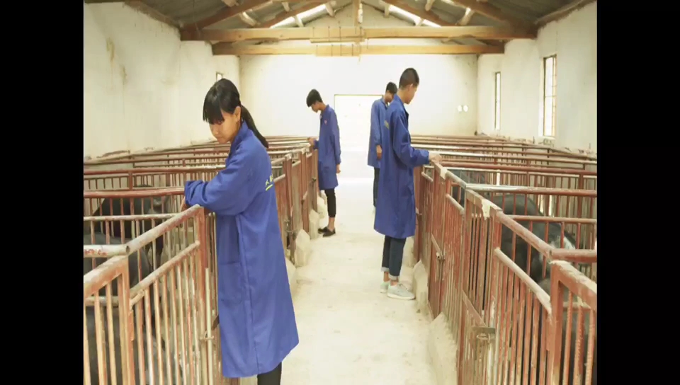 景东职中畜牧兽医专业宣传