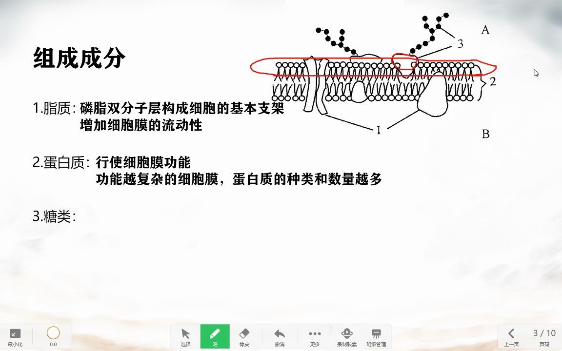 高中生物知识梳理3:细胞的基本结构