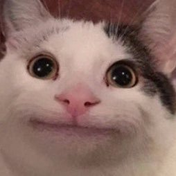 跳跳猪烤着吃 