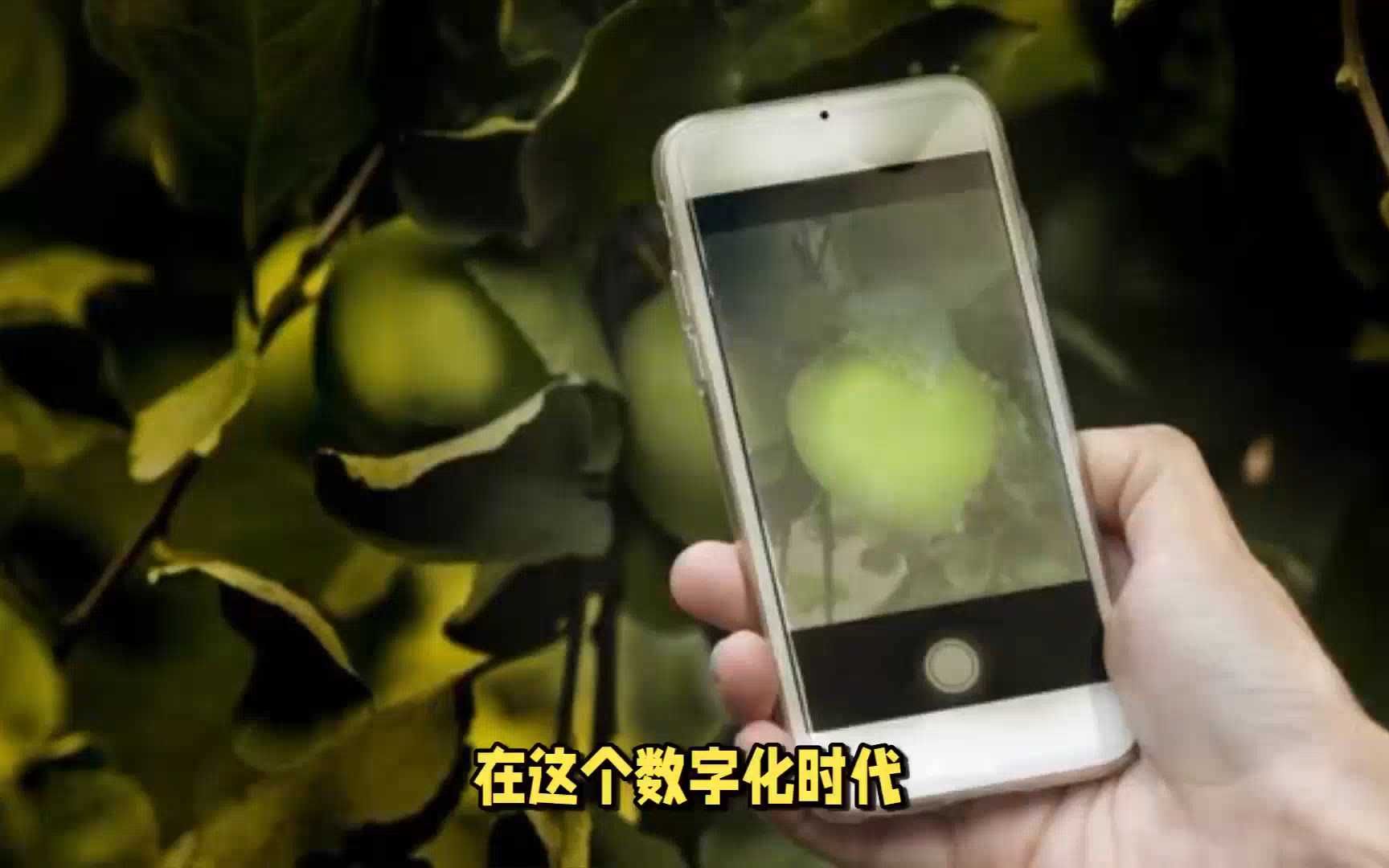 苹果手机RAW格式拍摄,开启还是关闭?一文解析你的所有疑惑