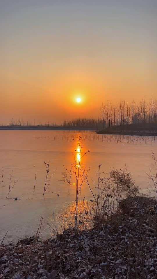 .回家过年了吗?#春节倒计时 #小寒 #二十四节气 #小寒...