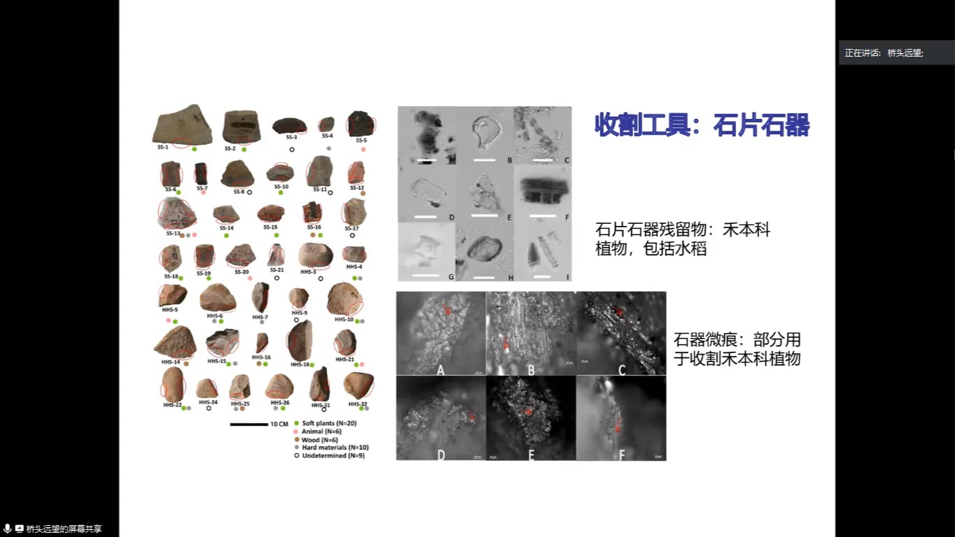 蒋乐平 第三讲:上山文化——中华文明的万年标尺_中华文明探源”系列...
