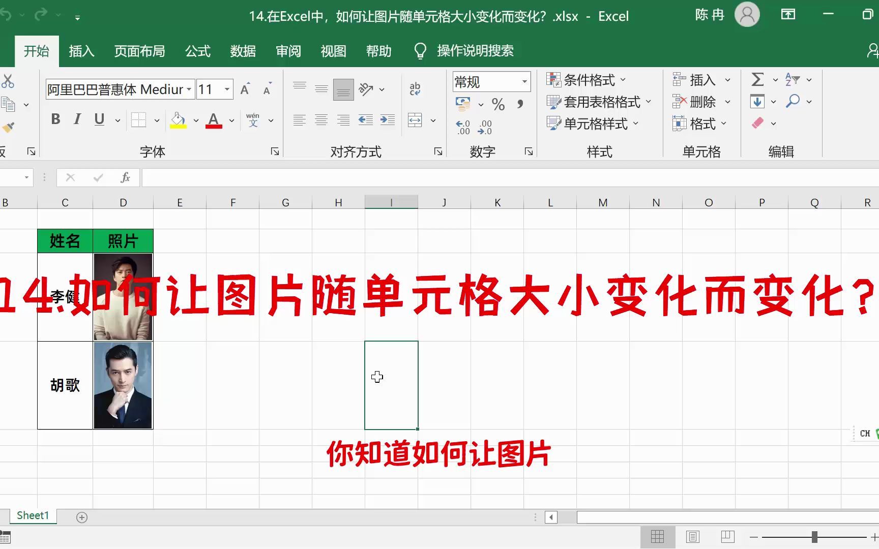 14.如何让图片随单元格大小变化而变化?
