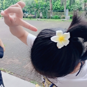 珊瑚絨 